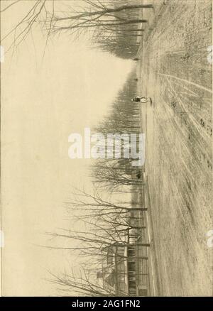 George Alexander Forsyth Stock Photo - Alamy