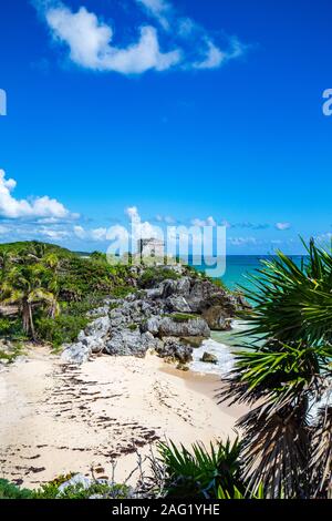 Tulum Caribbean turquoise beach in Riviera Maya of Mayan Mexico Stock ...