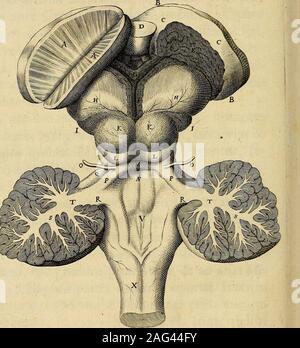 Cerebri anatome - cui accessit nervorum descriptio et usus (1664 ...