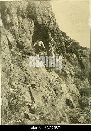 . Geological magazine. he descent of the Horse :— Hyracotherium ...