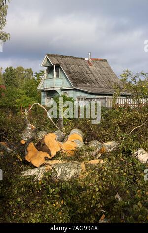 A pile of logs against the trees background Stock Photo - Alamy