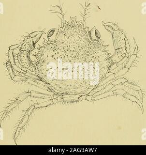 Fig. 3.10. 2. Antenne Stock Photo - Alamy