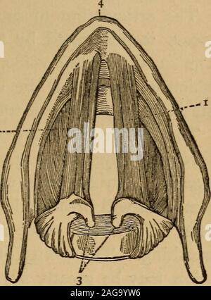 A left side view of the two F-101 Voodoo aircraft landing, with their ...