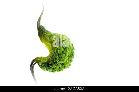 The tree (stomach) is a 3D illustration of the medical environmental ...