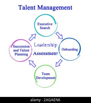 Four Components of Talent Management Stock Photo - Alamy