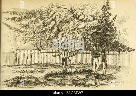 . The execution of William Corder, the Red Barn Murderer . 1828 ...