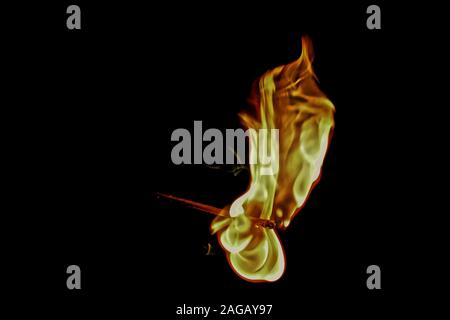 Closeup shot of a burning match softly dancing on a black background ...