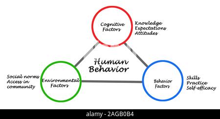 Determinants of Human Behavior Stock Photo - Alamy