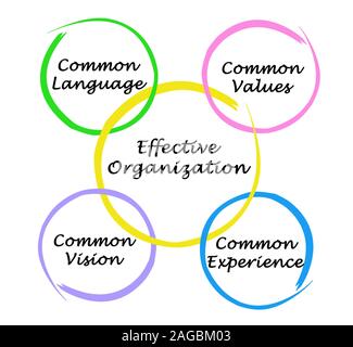 Diagram of Effective Organizations Stock Photo - Alamy