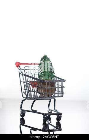 Mini Shopping Trolley with fir tree branches border frame on wooden ...