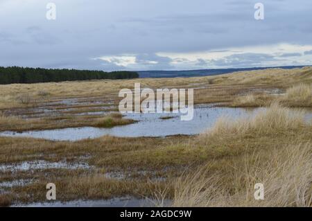 The Fife Coastal Path, Scotland. Tentsmuir National Nature Reserve ...
