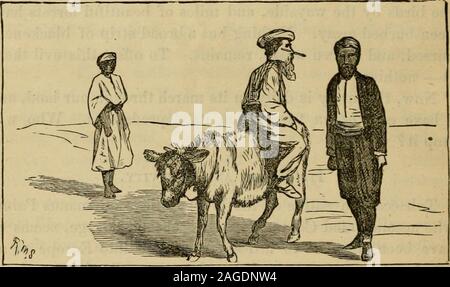 Jean Nicot presenting the tobacco plant to Queen Catherine de Medicis ...