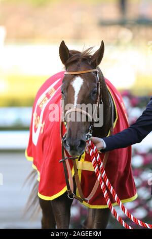 Hyogo, Japan. 15th Dec, 2019. Salios ( Ryan Moore), Kazutomo Mori Horse ...