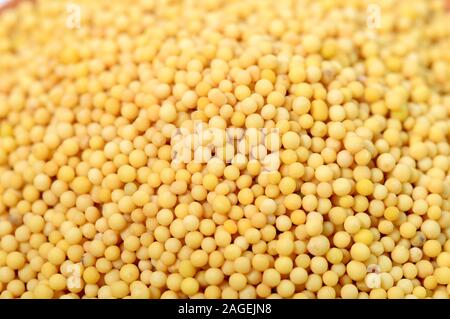 Yellow Mustard Seeds as a background texture Stock Photo - Alamy