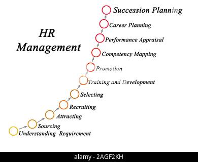 Eleven components of HR Management Stock Photo - Alamy