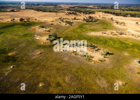 Green swamp and wetlands, grasslands, river, aerial view of Okavango ...