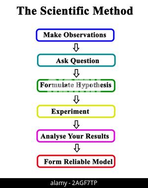 Scientific Method: From observation to model Stock Photo - Alamy