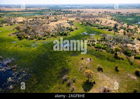 Green swamp and wetlands, grasslands, river, aerial view, Okavango ...