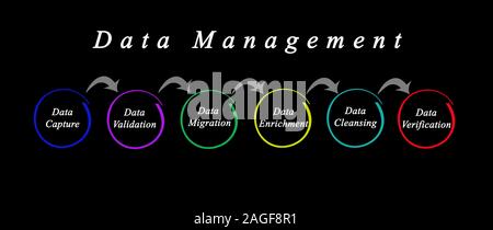 Components of Data Management Process Stock Photo - Alamy