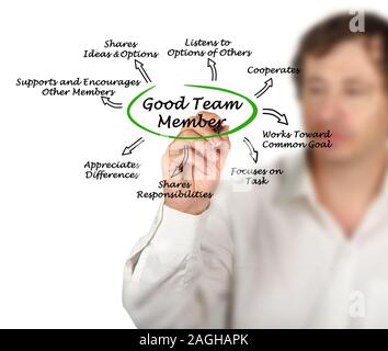 Characteristics of Good Team Member Stock Photo - Alamy