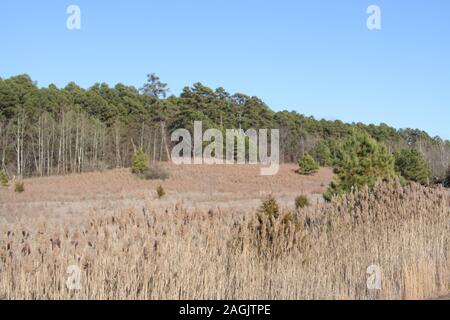 Midwest Forest and Prairie in mid December Stock Photo - Alamy