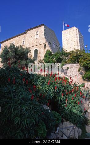 The chateau Grimaldi,home of the Picasso museum Antibes South of France ...