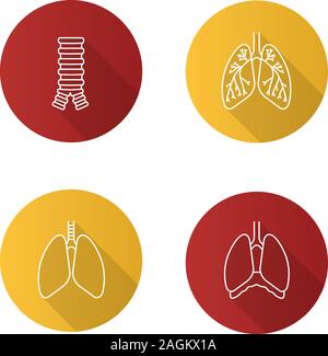 Human lungs with bronchi and bronchioles color icon. Respiratory system ...