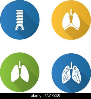 Human lungs with bronchi and bronchioles color icon. Respiratory system ...