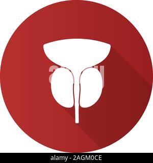 Prostate gland and urethra glyph icon. Male reproductive system organ ...