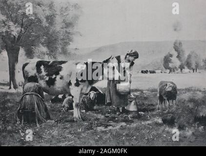 Agriculture, woman has milked cow and pouring milk into a milk can ...