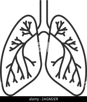 Human lungs with bronchi and bronchioles icon. Respiratory system ...