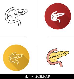 Human organ duodenum color line icon. Isolated vector element. Outline ...