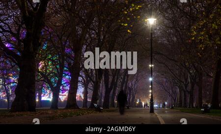 Cycle lane and walking path, Hyde Park, City of Westminster, London ...