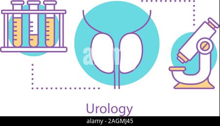 Prostate gland and urethra linear icon. Thin line illustration. Male ...