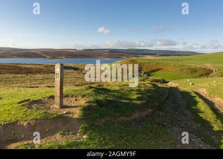 Walking guide post or waymarker on a walking trail at Llyn Brenig ...