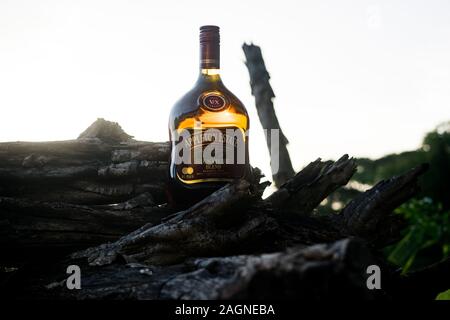 APPLETON ESTATE, JAMAICA - Jul 05, 2019: Bottle of APPLETON ESTATE ...