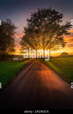 Ravenhill park sunset Stock Photo - Alamy