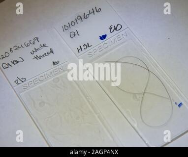 Explosive device examination and analysis at the FBI Laboratory Stock ...
