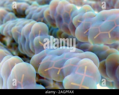Chemical structure of terephthalic acid, polyester (PET, polyethylene ...