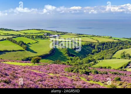 Lorna Doone country, Exmoor, Somerset, England - from County Gate ...
