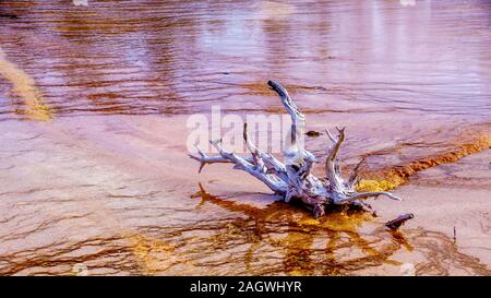 Silex Spring, Fountain Paint Pot, Yellowstone National Park, USA Stock ...