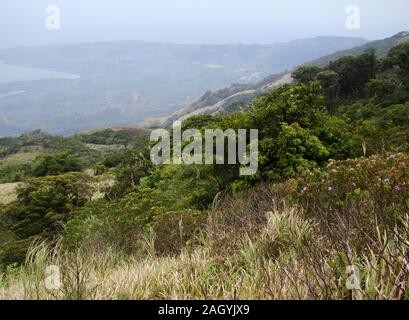 Logging erosion in lowland tropical rainforest across the broad flood ...