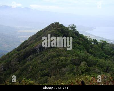 Logging erosion in lowland tropical rainforest across the broad flood ...
