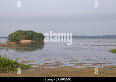 View of Karaivetti Bird Sanctuary, Ariyalur District, Tamil Nadu, India ...
