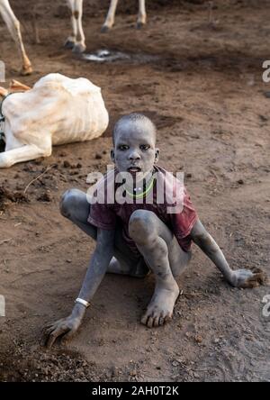 Mundari tribe boy collecting cow urine to use it to wash his body and dye his hair, Central ...