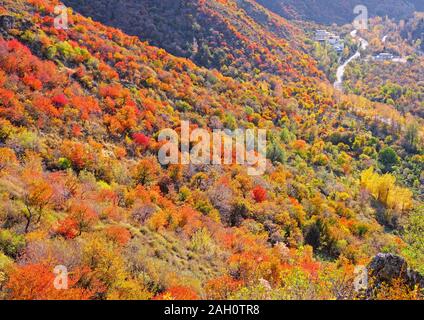 Golden autumn in Medeo gorge; Almaty city area, Kazakhstan Stock Photo ...