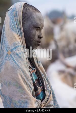 Mundari tribe boy covered in ash taking care of long horns cows in a camp, Central Equatoria ...