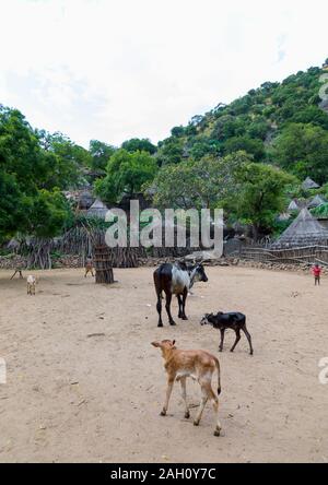 Otuho (Lotuko) tribe village in the Imatong mountains, Eastern ...