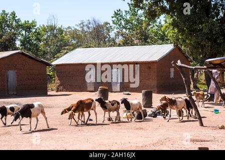 african village, benin, northern benin, muslim village Stock Photo - Alamy