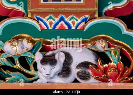 Cat in Nemuri Neko,Toshogu Shinto shrine, Nikko, Japan Stock Photo - Alamy